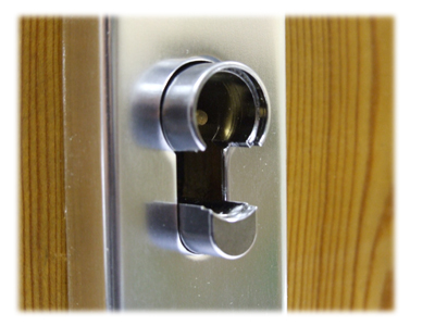 Rainer Security Products | Suppliers of Access Control ...